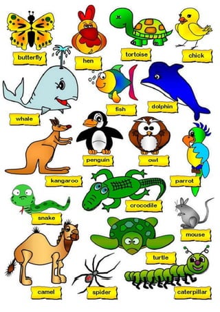 Animal pictionary | PDF