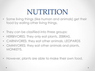 Animal planet | PPTX