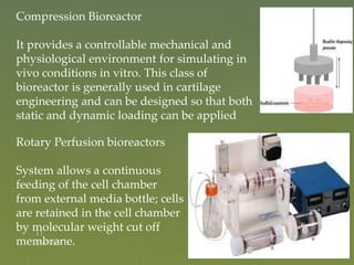 An overview of the animal & plant cell reactors used in laboratories | PPTX