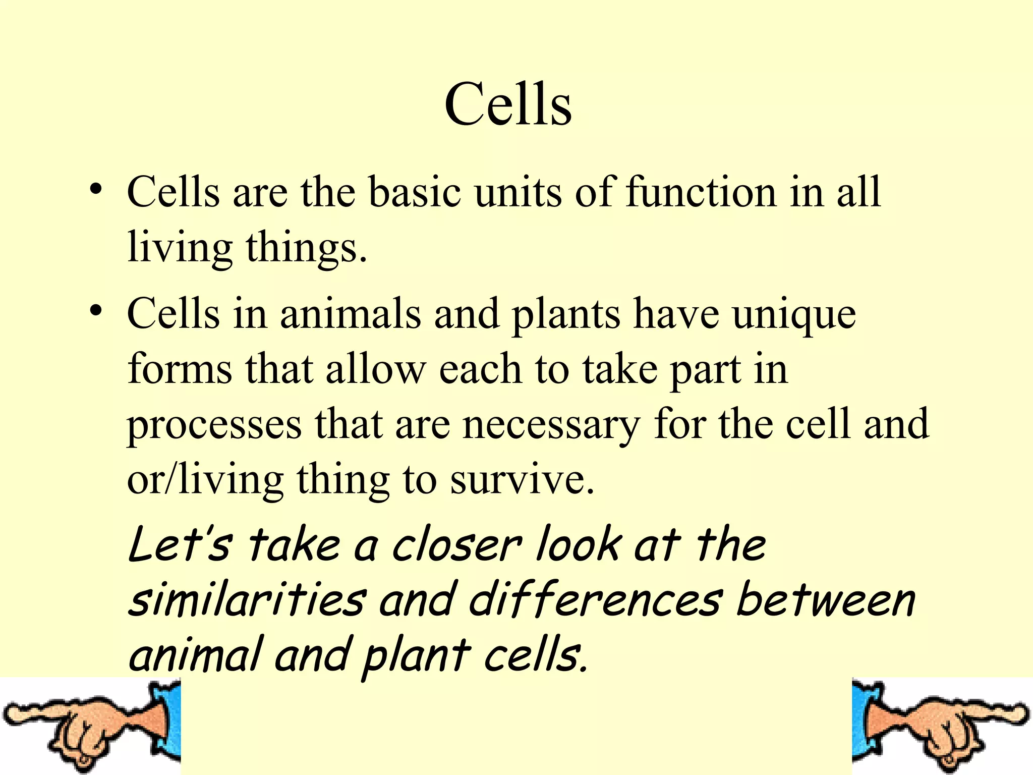 Animal plantcells | PPT