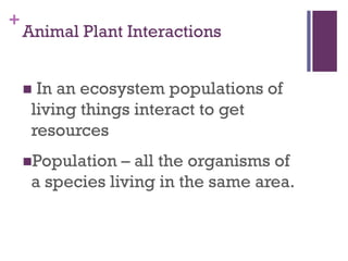 animal plant interactions | PPTX