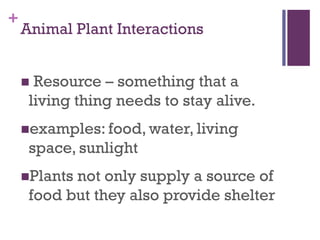 animal plant interactions | PPTX
