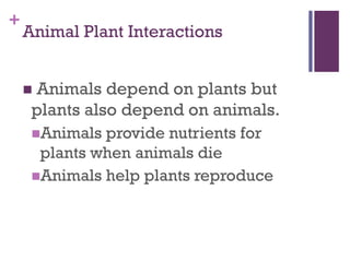 How Plants And Animals Interact