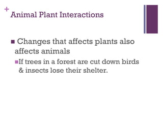 animal plant interactions | PPTX