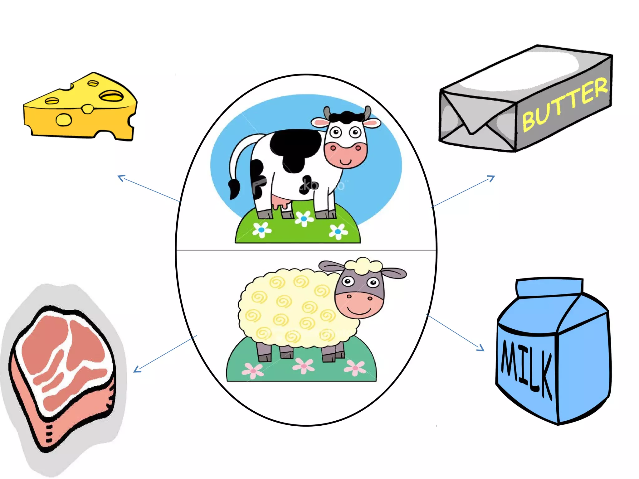 Animal plant origin | PPT