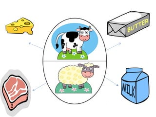 Animal plant origin | PPT