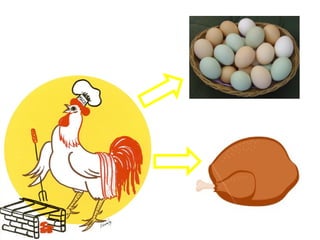 Animal plant origin | PPT