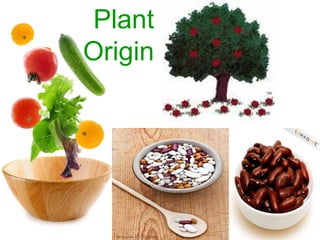 point: “food sources: animal- plant origin”: | PPT