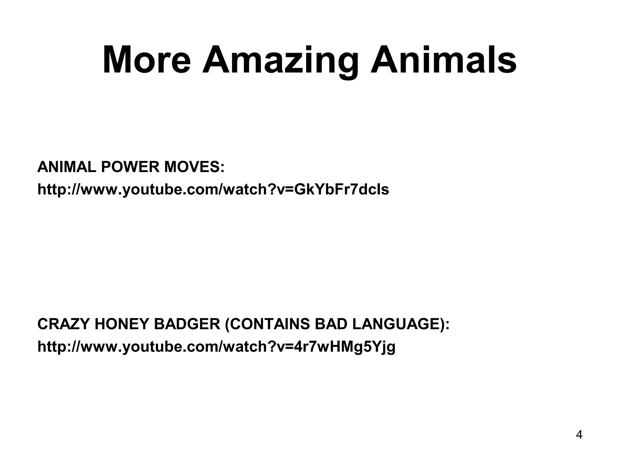 Animal Play and Animal Communication | PPT