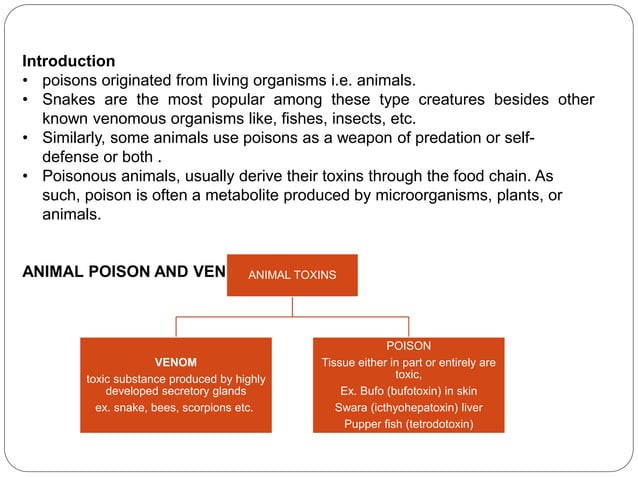 introduction to animal poisons, forensic toxicology | PPTX
