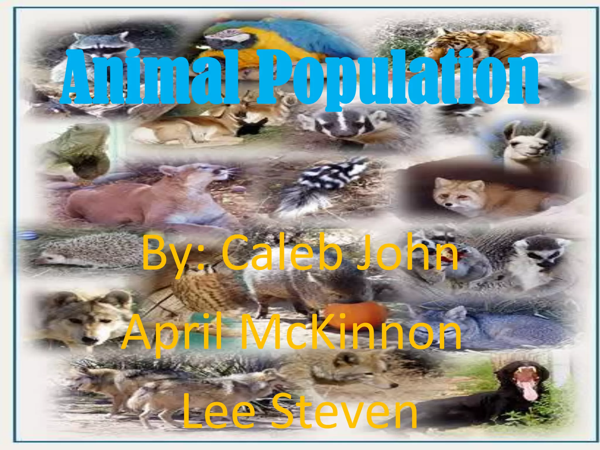 Animal Population | PPT