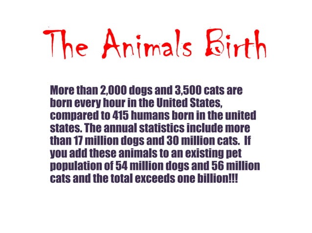 Animal Population | PPT