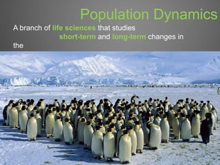 Animal population | PPTX