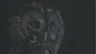 Animal portrait scratchboard | PPTX