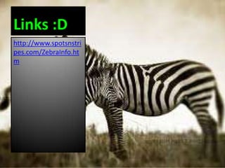 Animal powerpoint | PDF