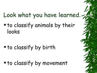 Animal powerpoint | PPT
