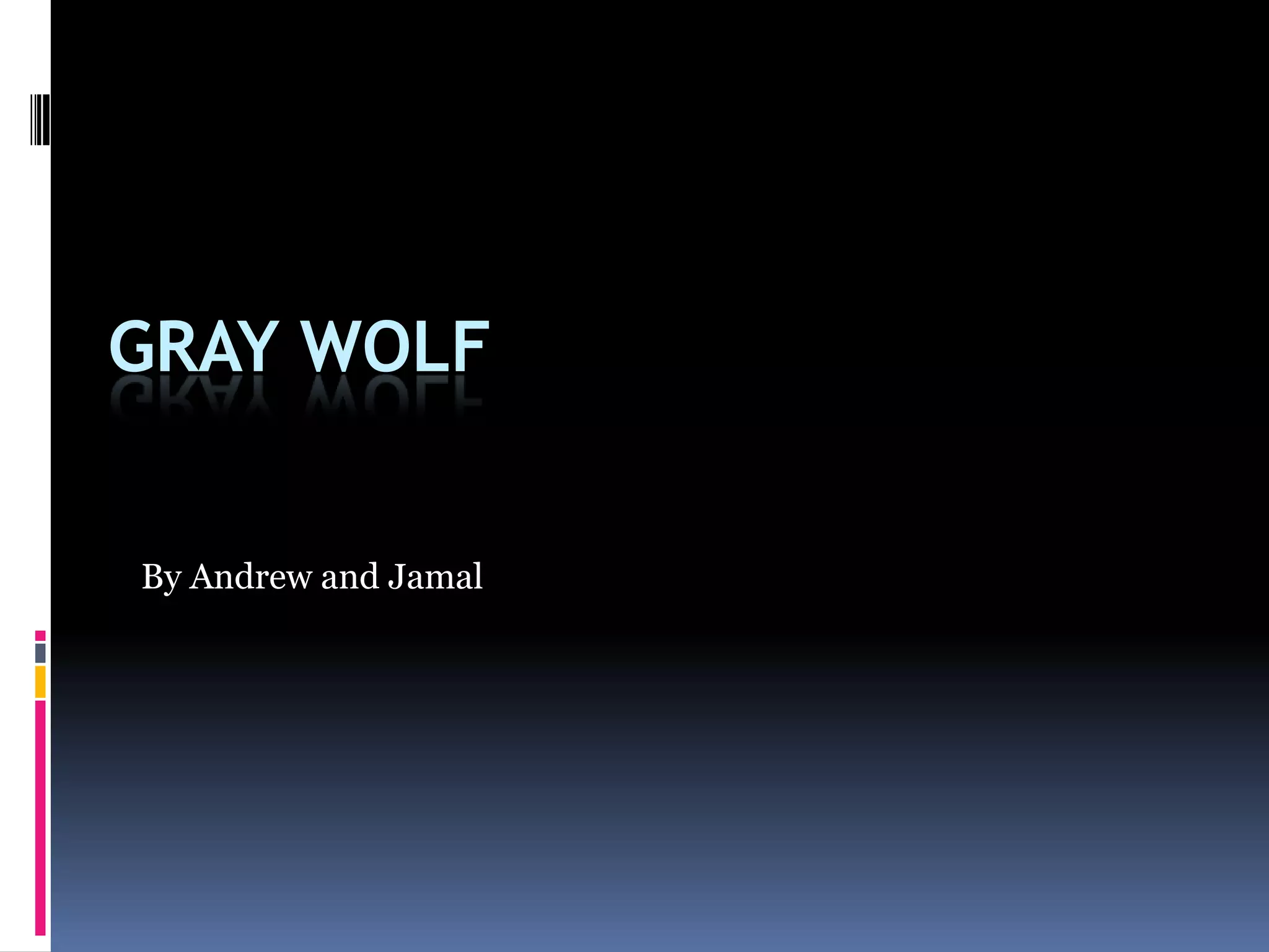 Animal power point | PPTX