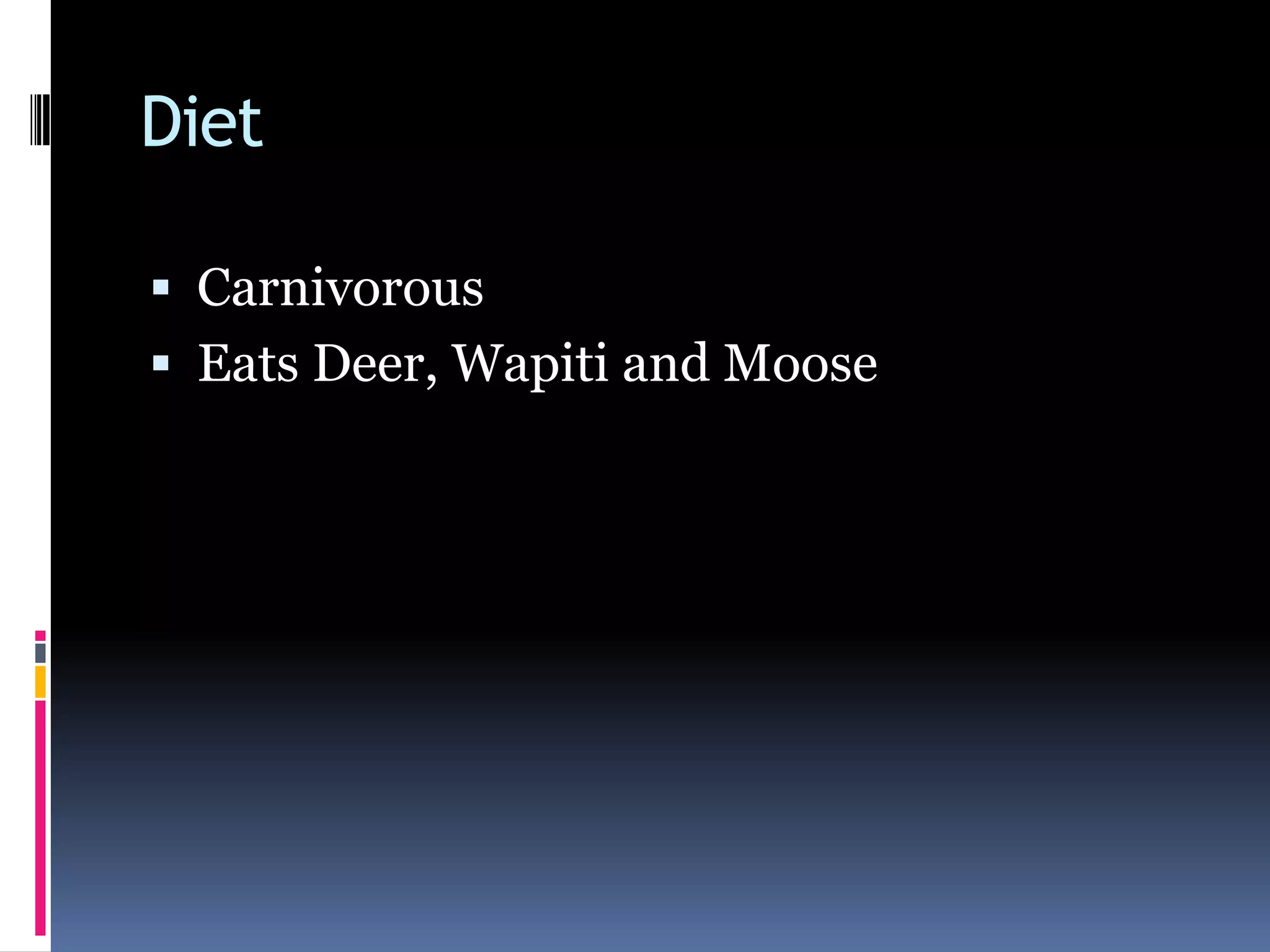 Animal power point | PPTX