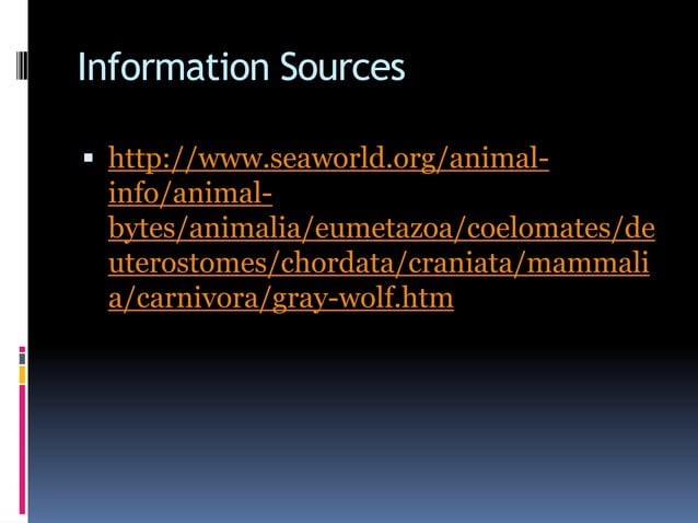 Animal power point | PPT