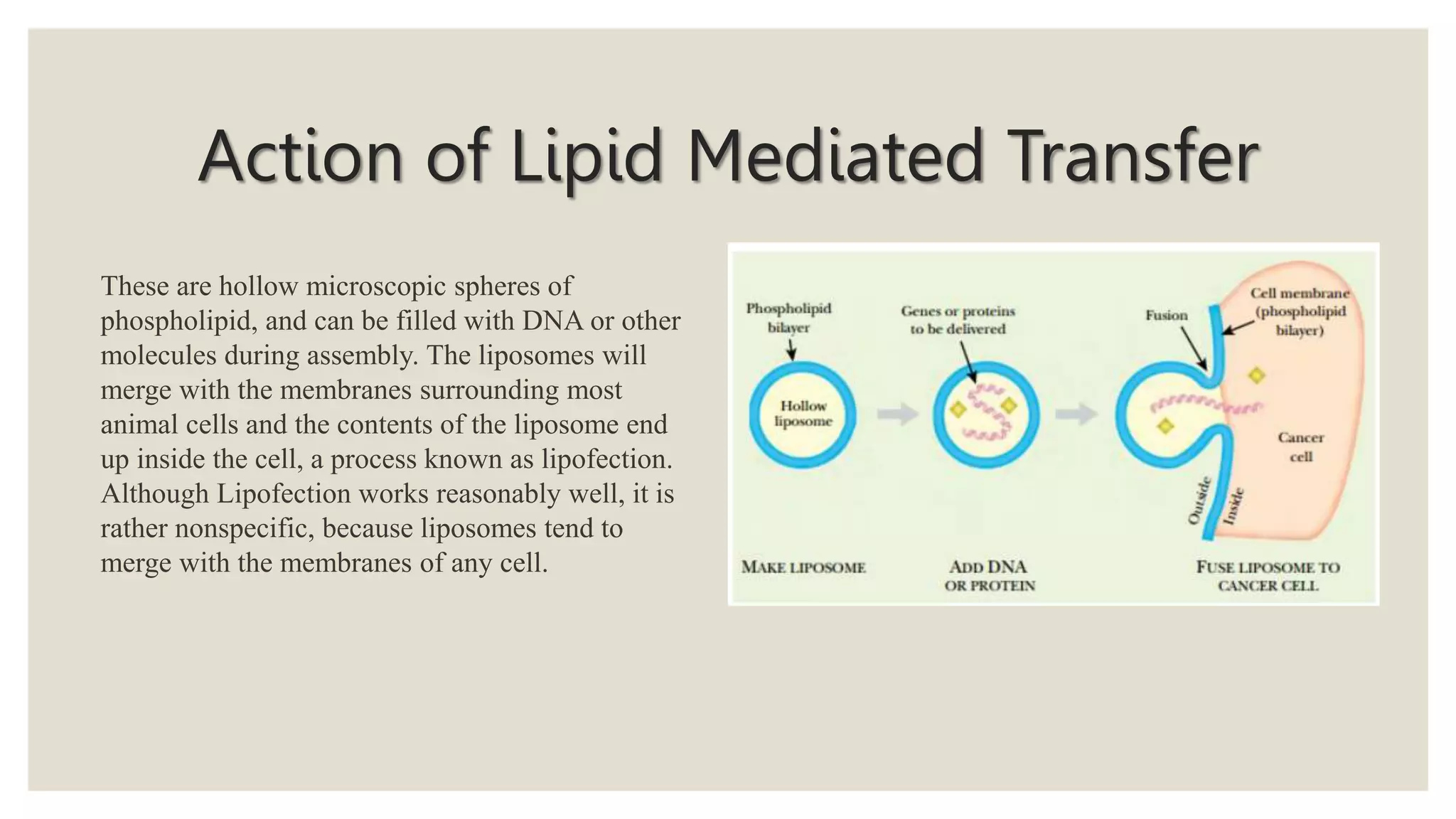 Chemical ways of gene transfer | PPTX