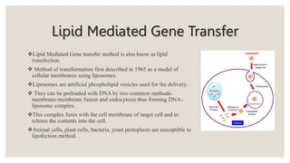 Chemical ways of gene transfer | PPTX