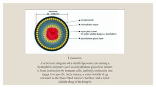 Chemical ways of gene transfer | PPTX