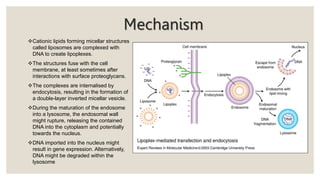 Chemical ways of gene transfer | PPTX