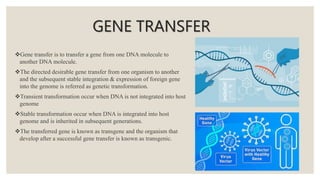 Chemical ways of gene transfer | PPTX