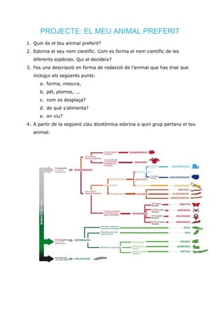 Animal preferit guia de l'alumne (1) | PDF