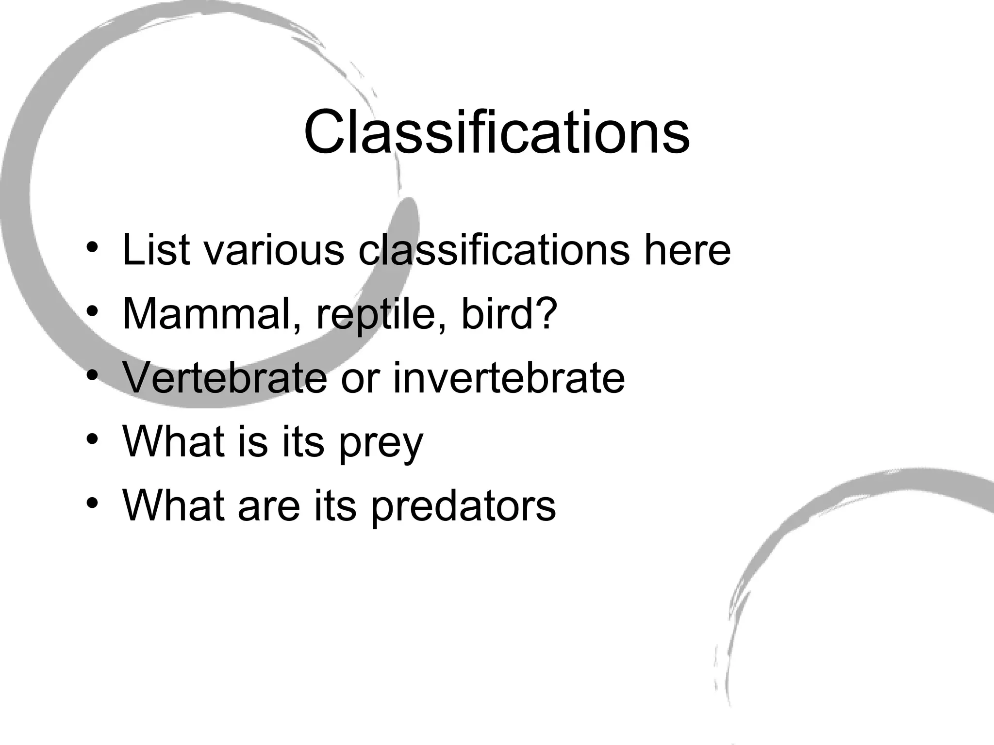 Animal presentation | PPT