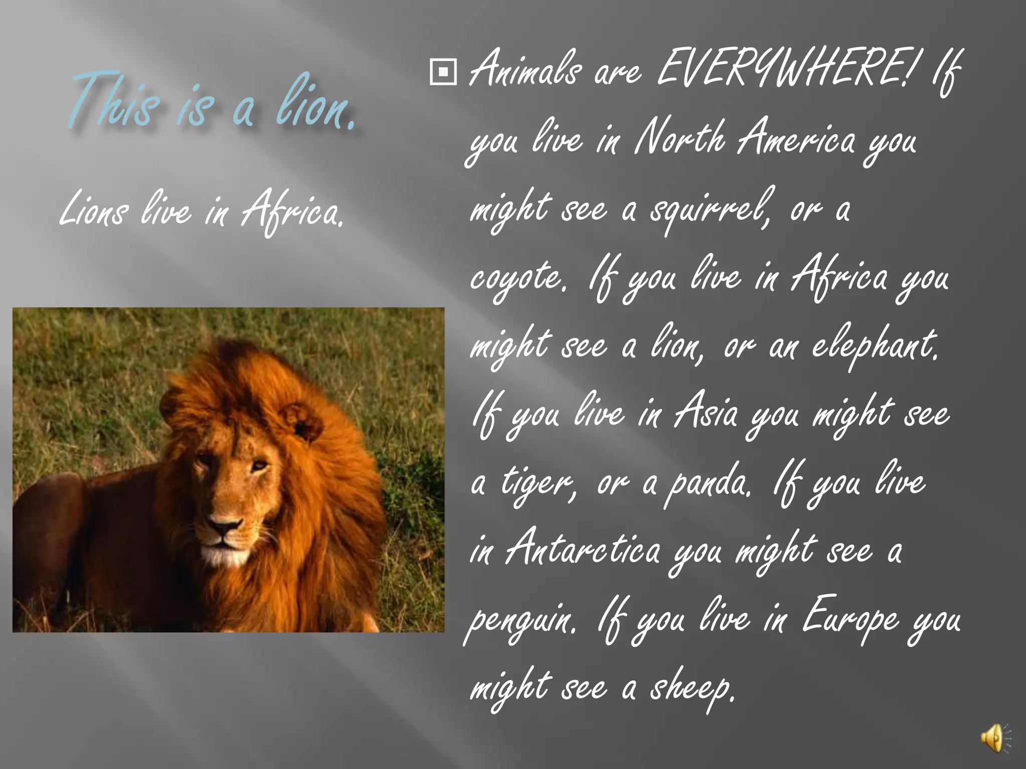 Animal presentation | PPT