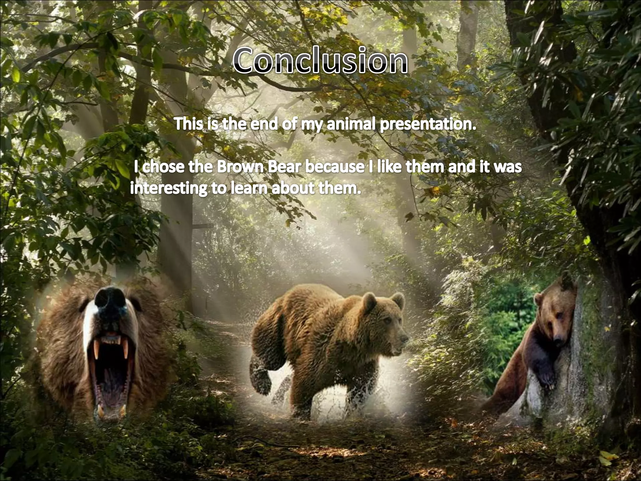 Animal presentation | PPTX