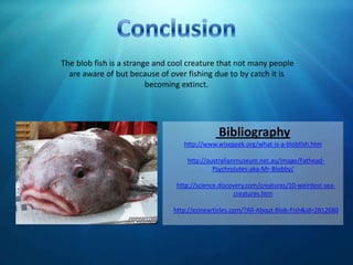 Animal presentation | PPT