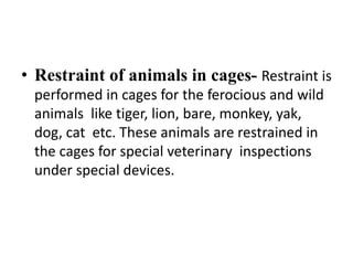 Restraint and judging of dairy animals | PPTX