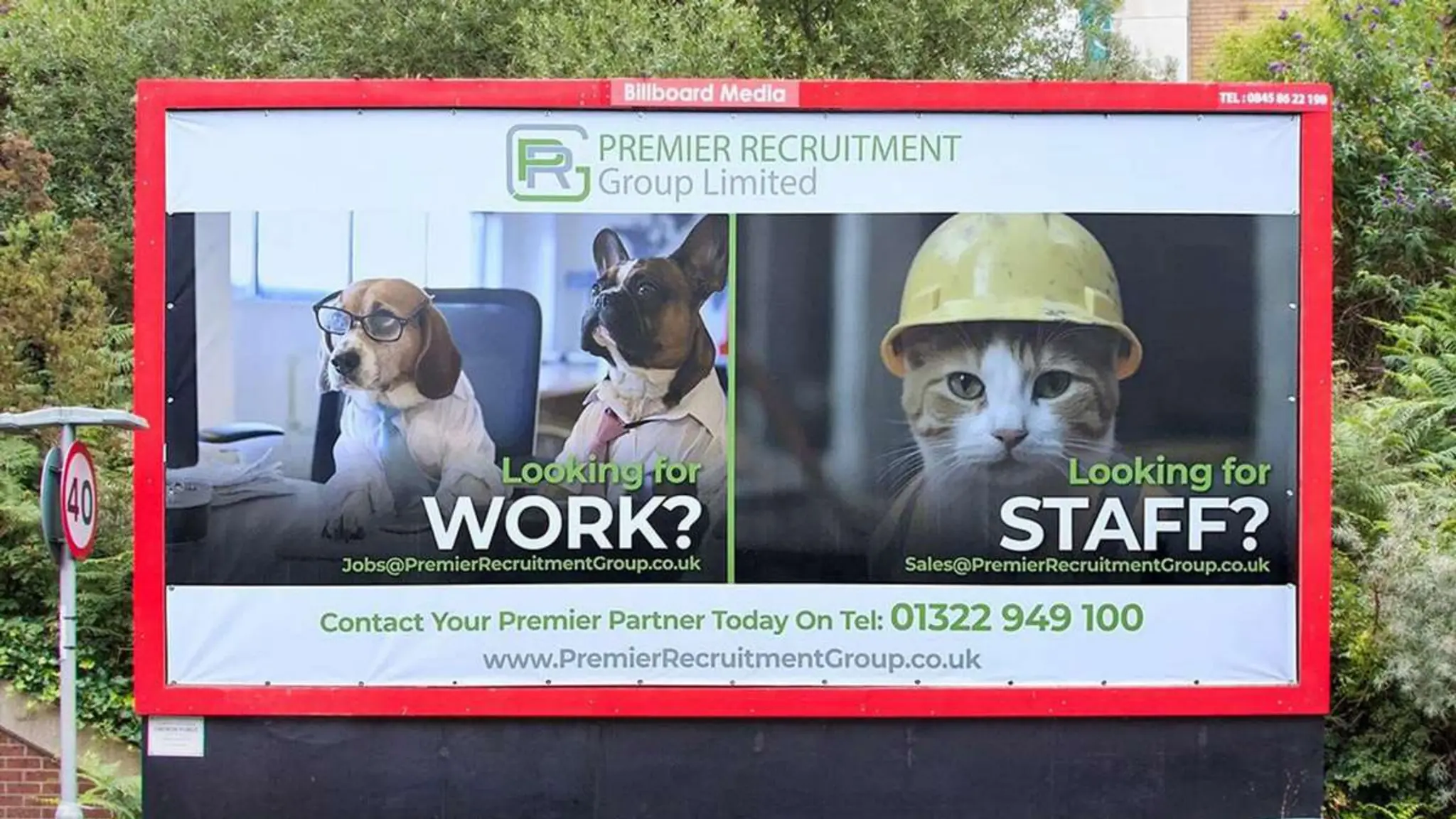 Animal based campaigns featured on Billboard Media boards.pptx