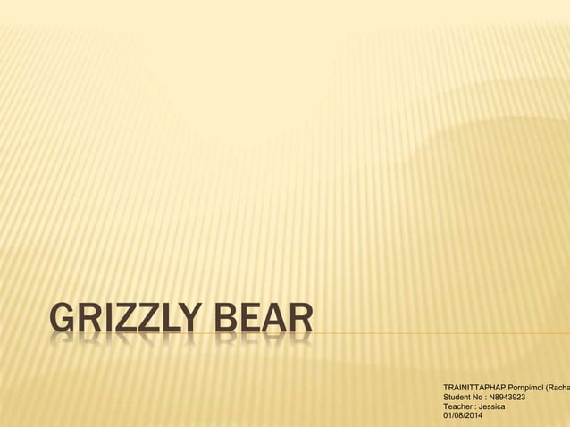 Animal presentation(grizzly bear) | PPTX | Nutrition | Healthy Living