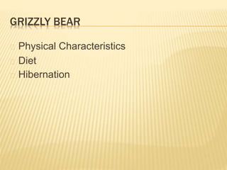 Animal presentation(grizzly bear) | PPTX