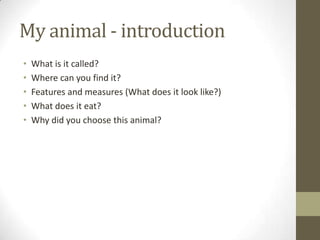 Animal presentation y7 | PPTX