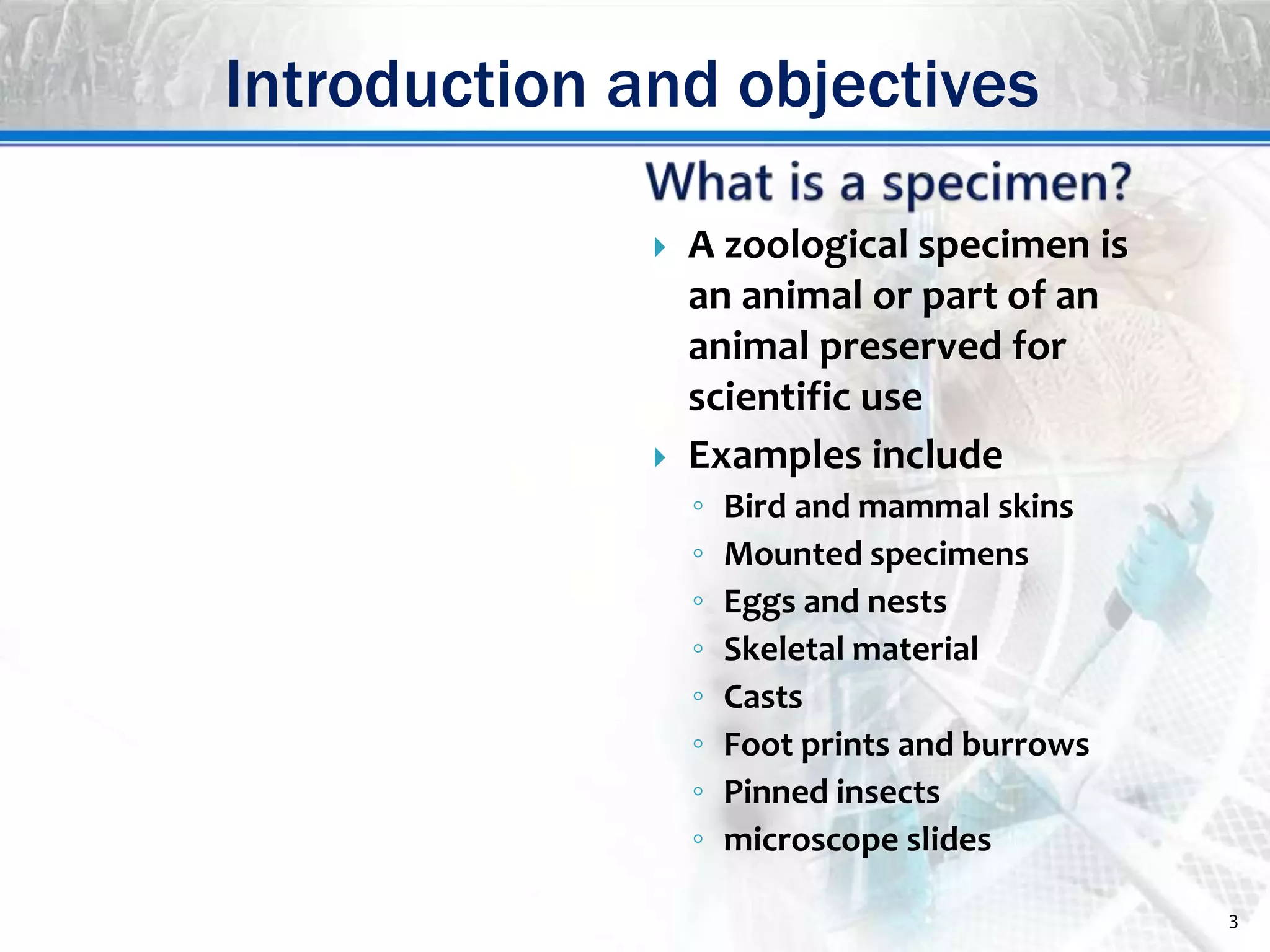 Animal preservation techniques introduction and objectives | PPTX