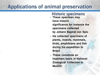 Animal preservation techniques introduction and objectives | PPTX