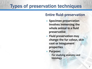 Animal preservation techniques introduction and objectives | PPTX