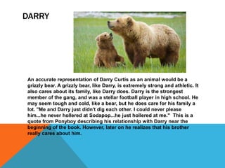 Animal project | PPT