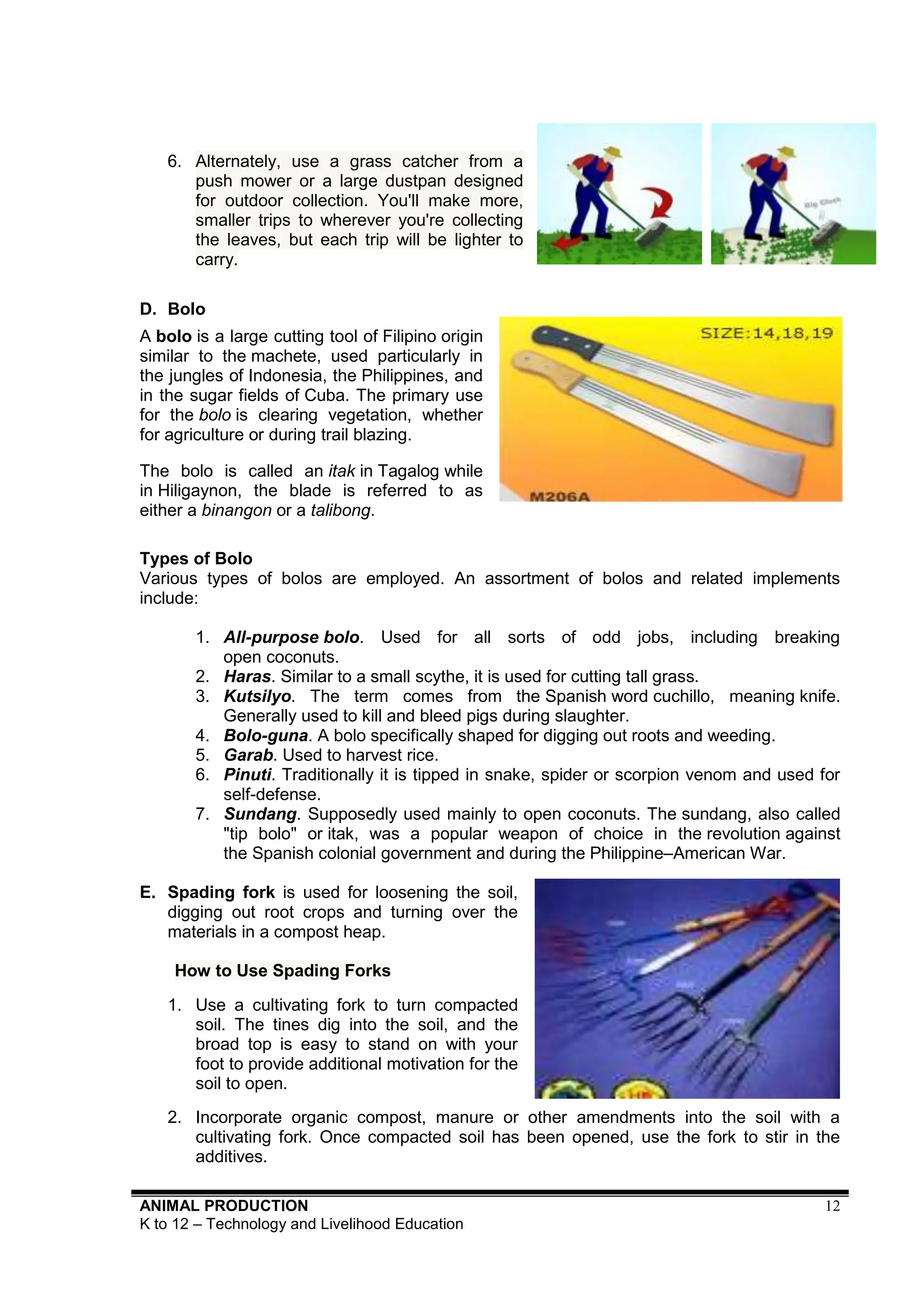 TLE -Learning Module - Animal Production | PDF