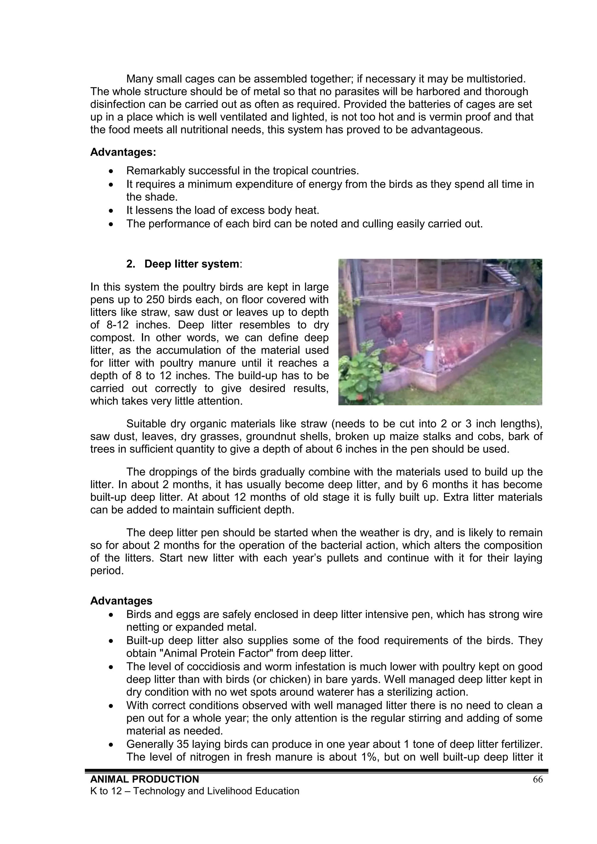 TLE -Learning Module - Animal Production | PDF