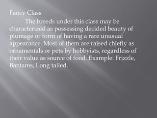 ANIMAL PRODUCTION (POULTRY-CHICKEN) NC II.pptx