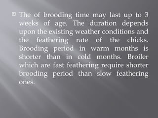 ANIMAL PRODUCTION (POULTRY-CHICKEN) NC II.pptx