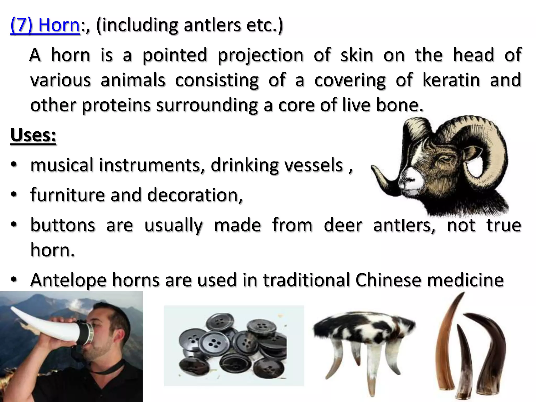Animal products & animal by product | PPTX