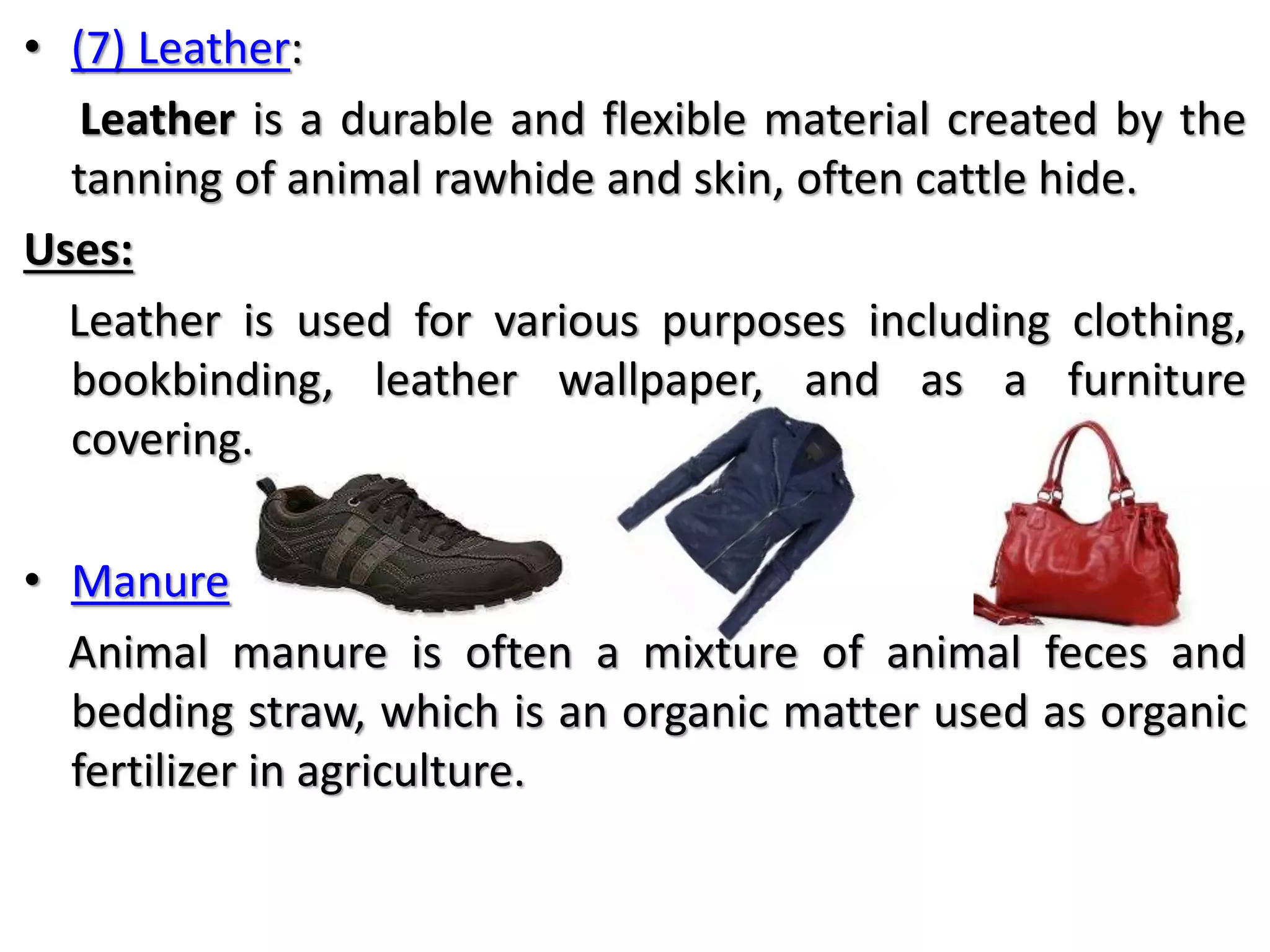 Animal products & animal by product | PPTX