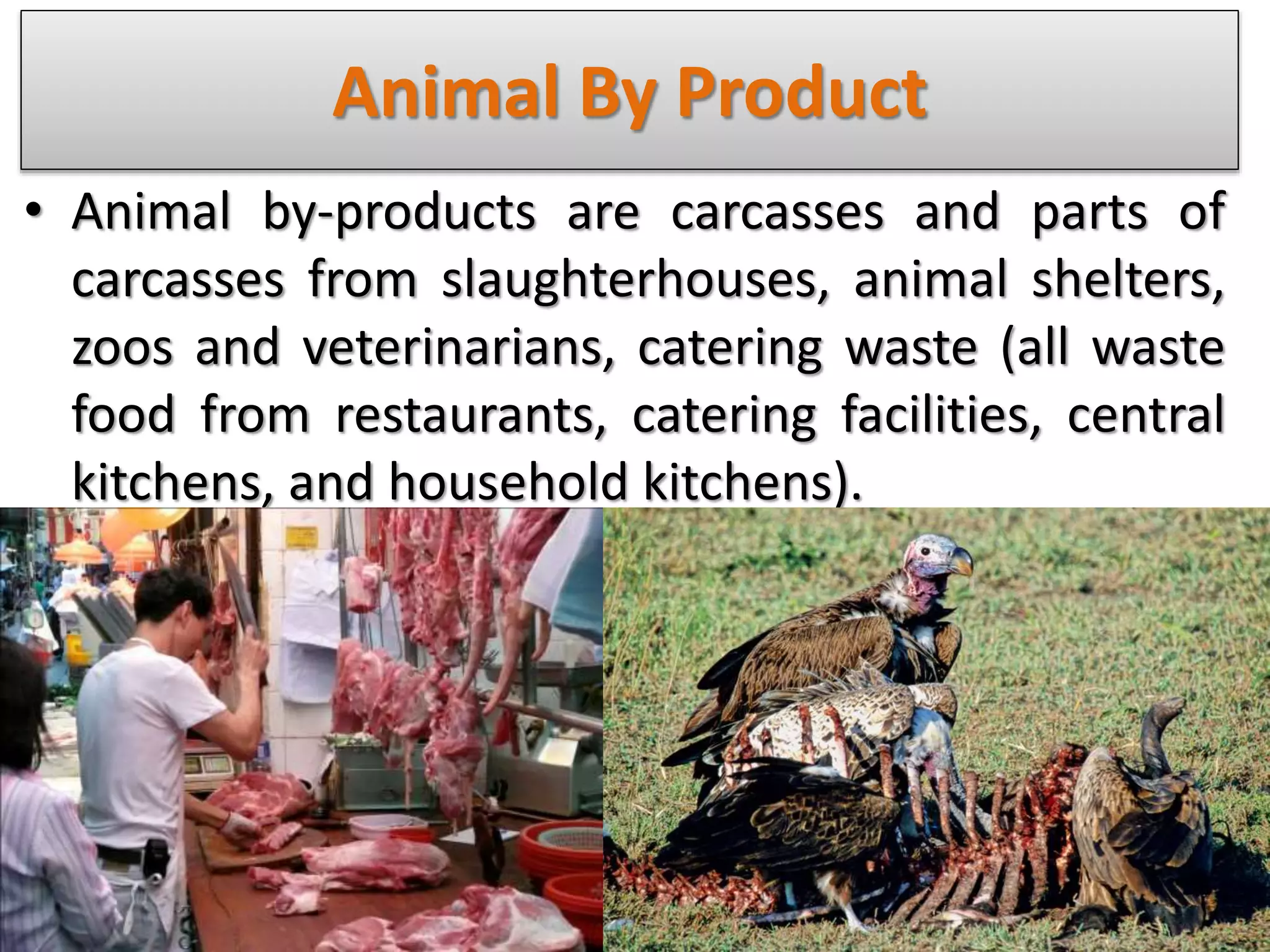 Animal products & animal by product | PPTX