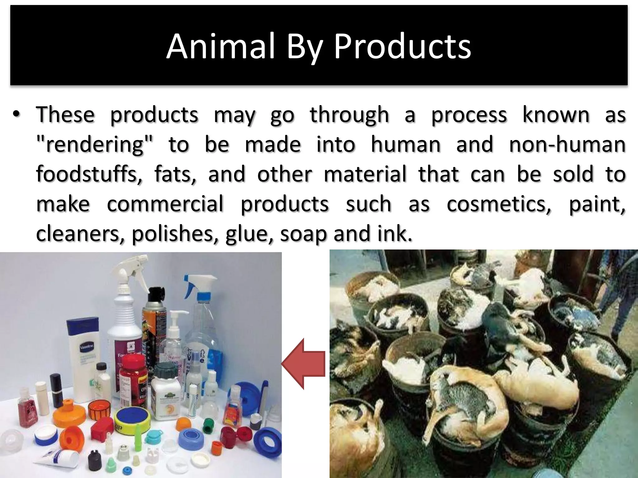 Animal products & animal by product | PPTX